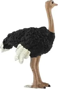 ZOOTED Figurka Pštros dvouprstý / Plast / 11 cm / od 3 let