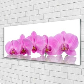Plexisklo-obraz Růžová Orchidej Květiny 125x50 cm