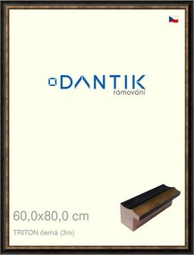 DANTIK rámeček 60x80 | TRITON černá (Plexi Čiré)
