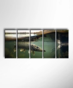 Malvis ® Obraz Štika pod vodou ROZMĚR (šířka x výška): pětidílný obdélník 200x90 cm