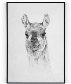 Plakát / Obraz Lama Pololesklý saténový papír 210 g/m² A4 - 21 x 29,7 cm