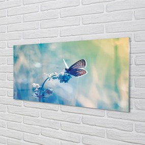 akrylový obraz barevný motýl 100x50 cm