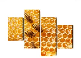 Vícedílný obraz Včely Na Plástev Nedostatek Nedostatek Přírodní plátno 120x75