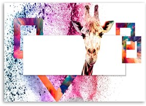 Obraz na plátně Zvířata žirafy - 90x60 cm