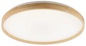 Brilliant - LED Stmívatelné stropní svítidlo ALSON LED/21W/230V béžová + DO