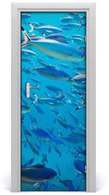 Samolepící fototapeta na dveře Korálové ryby 95x205 cm