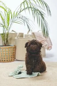 Beeztees Cuddle Wuggie 31cm / Mazlící dečka