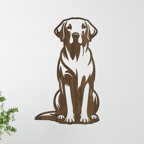dřevo života Dřevěný obraz psa Labradora Zvolte rozměr (cm): 24x40, Zvolte barvu dekoru: Ořech