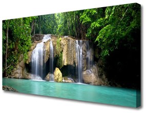 Obraz na plátně Vodopád Strom Příroda 100x50 cm