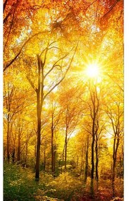 Vliesová fototapeta Slunečný les 150 x 250 cm + lepidlo zdarma / MS-2-0067 vliesové fototapety na zeď DIMEX