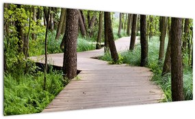 Cesta v lese - obraz (100x40cm)