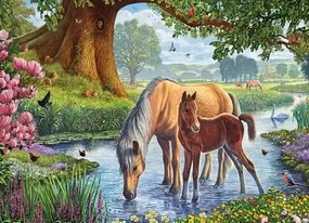 EUROGRAPHICS Puzzle Fellští poníci / 1000 dílků / 67,63 x 48,89 cm