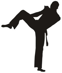 Samolepka na zeď Capoeira bojovník, nálepka na stěnu (12929)