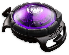 LED světlo na obojek Purple – Orbiloc