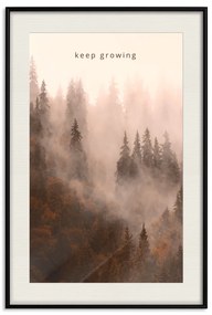 Plakát Růst - anglické texty a lesní krajina s mlhavými stromy