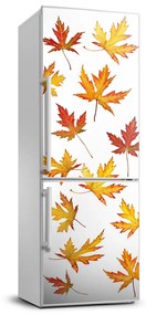 Wallmuralia Foto tapeta na ledničku Podzimní listí 60x180 cm