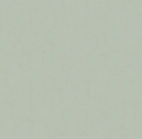 Lentex, PVC podlaha - lino Flexar PUR 603-01 sv. šedá, na míru, šíře 2m,4m, šedá, bez podkladu, kancelář