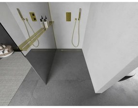 Mexen Kioto+ L, sprchová zástěna Walk-In s poličkou a věšákem 120 x 200 cm, 8mm sklo vzor zrcadlo, zlatý lesklý profil, 800-120-123-50-50