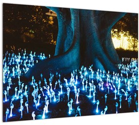 Skleněný obraz - Magický strom (70x50 cm)
