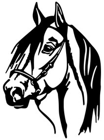 Wallexpert Dekorativní kovový nástěnný doplněk Horse Head, Černá