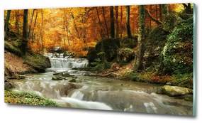 Wallmuralia Foto obraz fotografie na skle Vodopád v lese 100x50