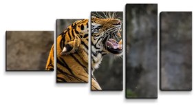 Sablio Obraz - 5-dílný Řvoucí tygr - 100x60 cm