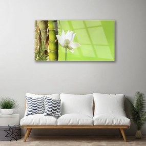 Obraz na skle Bambus Stonek Rostlina Příroda 140x70 cm