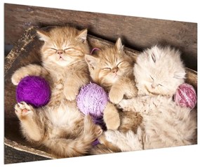 Obraz spících koťat (120x80 cm)