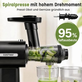 Costway Pomalý odšťavňovač na ovoce a zeleninu 95 % výtěžnosti šťávy