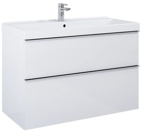 Elita Look, umyvadlová skříňka 100x45x64 cm 2S PDW, bílá matná, ELT-167598