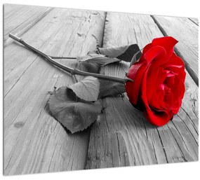 Skleněný obraz rudé růže (70x50 cm)