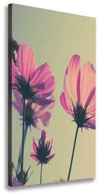 Wallmuralia Vertikální Foto obraz na plátně Růžové květiny 50x100