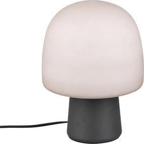 Černo-bílá stolní lampa se skleněným stínidlem (výška 27 cm) Steen – Trio