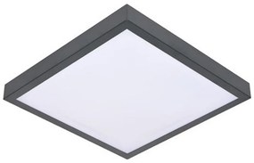 LED Stropní svítidlo se senzorem VITALI LED/24W/230V 4000K