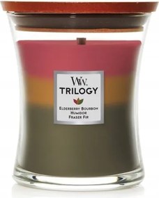 WoodWick Trilogy střední svíčka Hearthside Foyer 275 g