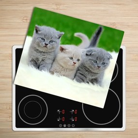 Skleněná krájecí deska Tři kočky na deku