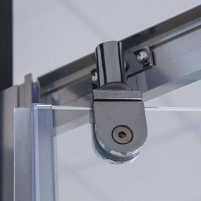 Roth LEGA LINE LLDO1 Jednokřídlé sprchové dveře pro instalaci do niky 100 cm Profil: Lesk, Sklo: Potisk