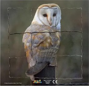 Just Jigsaws 647 Sova a její životní cyklus - dřevěné vrstvené puzzle