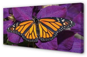 Obrazy na plátně Barevný motýl květiny 100x50 cm