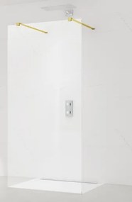 Sprchová zástěna SAT Walk-in 60 cm SATBWI60ZAVZ