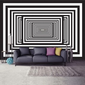 Fototapeta - Bílý a černý 3D tunel (254x184 cm)