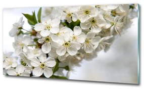 Wallmuralia Foto obraz fotografie na skle Květy višně 100x50