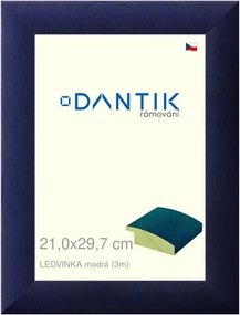 DANTIK rámeček 21x29,7 | LEDVINKA modrá (Sklo Čiré)