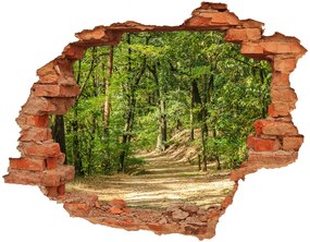 Wallmuralia Díra 3D ve zdi nálepka Lesní stezka 90x70 cm