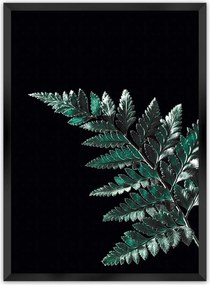 Plakát Dark Fern Leaf