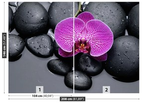 Fototapeta Orchidejové kameny 104x70