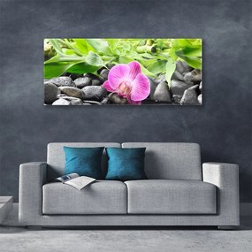 Plexisklo-obraz Květiny Orchidej Kameny Zen 125x50 cm