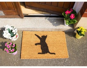 Rohožka z přírodního kokosového vlákna Artsy Doormats Cat, 40 x 60 cm
