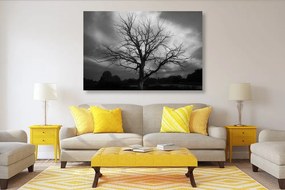 Obraz černobílý strom na louce - 120x80 cm
