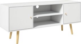 HOMCOM TV Stánek do Obývacího Pokoje s 2 Dveřmi a 2 Úložnými Policemi pro Televize do 55 Palců, 120x34x50 cm, Bílý | Aosom